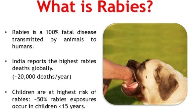 Himachali Doctor finds a perfect cure for Rabies. Gets a Green Signal ...