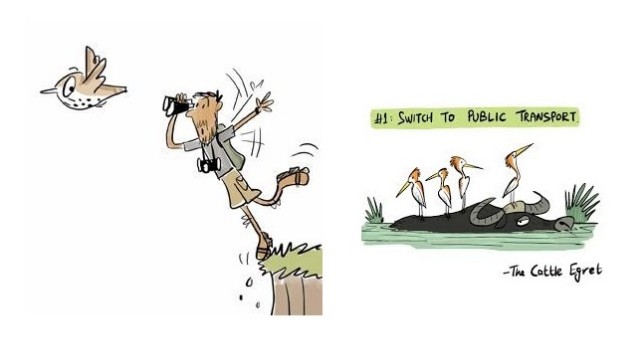 Rohan Chakravarty, a Young Indian Wildlife & Environment Cartoonist ...
