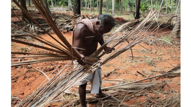 This Innovative Coconut leaf Straws reduces waste and Facilitates in ...